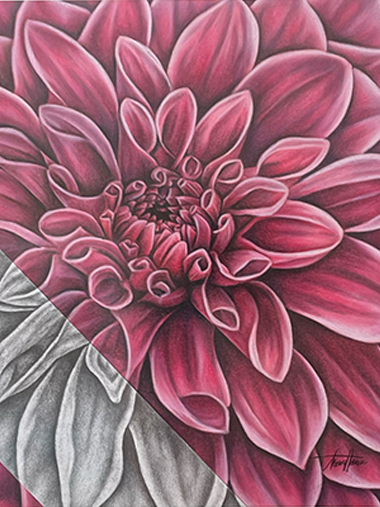 Beauty Beyond - Alexis Helene Art